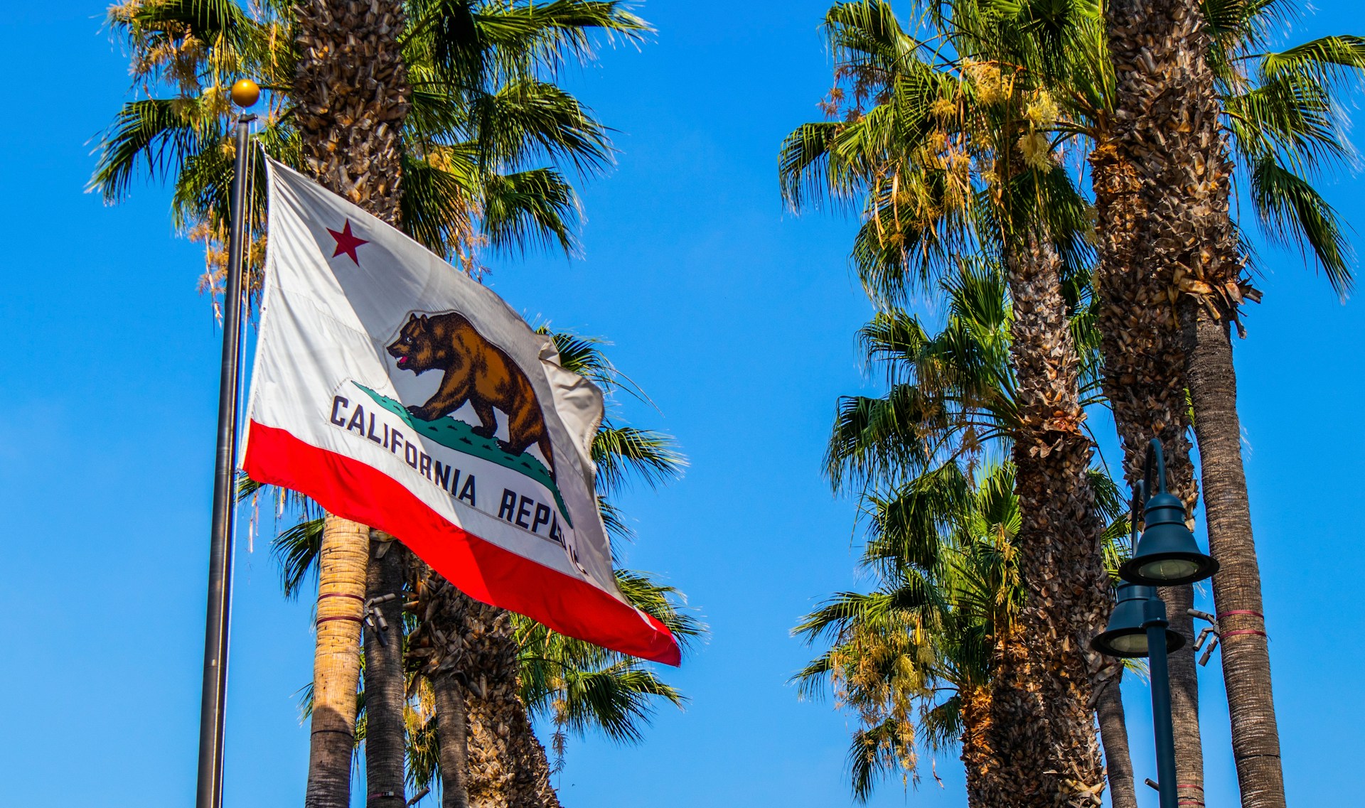 California's Population Growth Slows to 0.05% as Migration Patterns ...